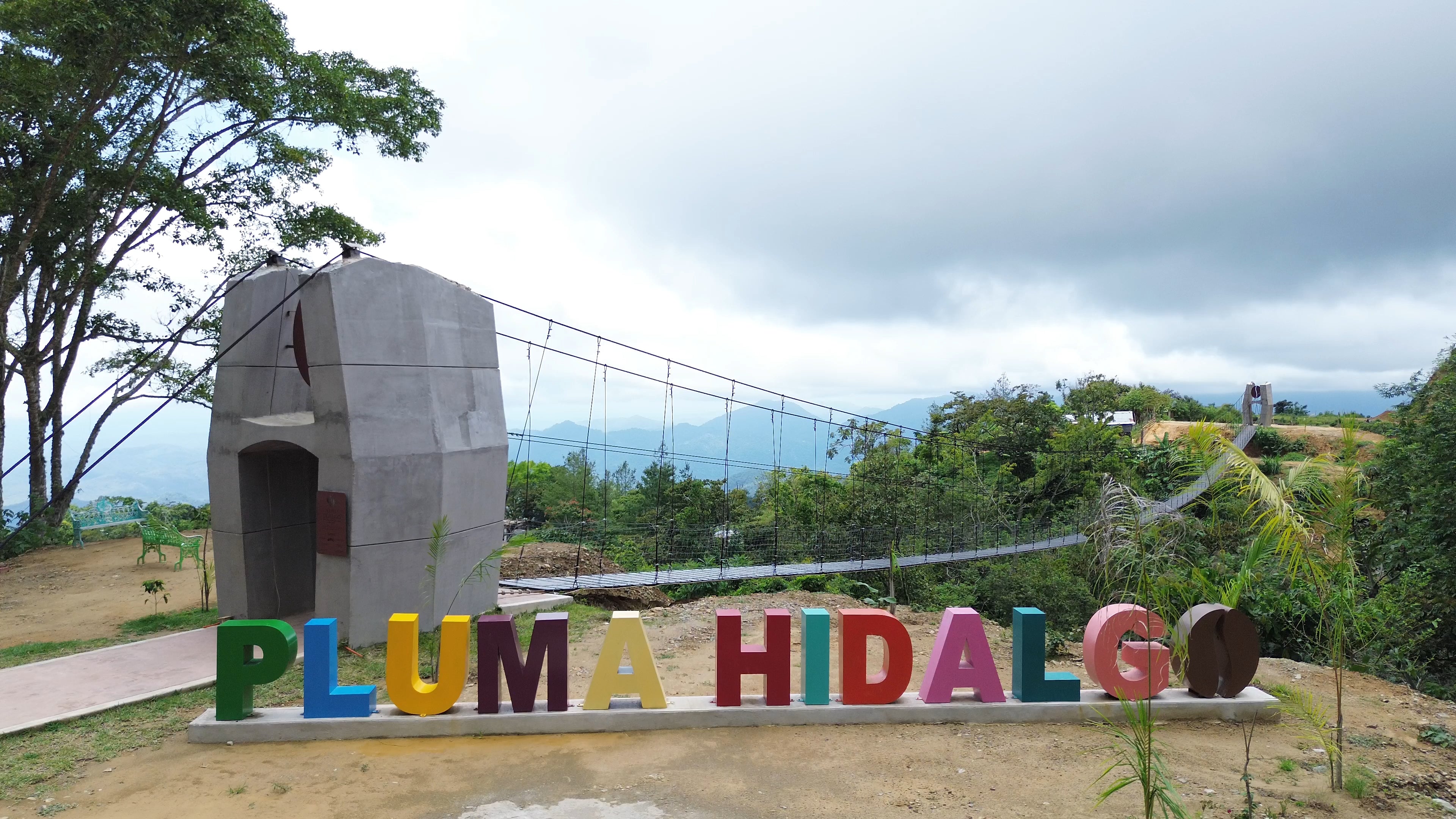 Tour Café Pluma Hidalgo + 1kg de Café – Only Tour